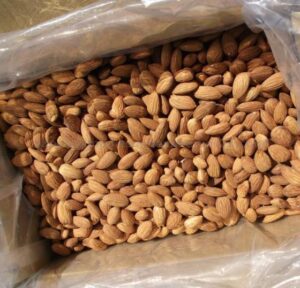 Almond Nuts for Sale - Mauro Solfertile Agriverde Commodities Brazil