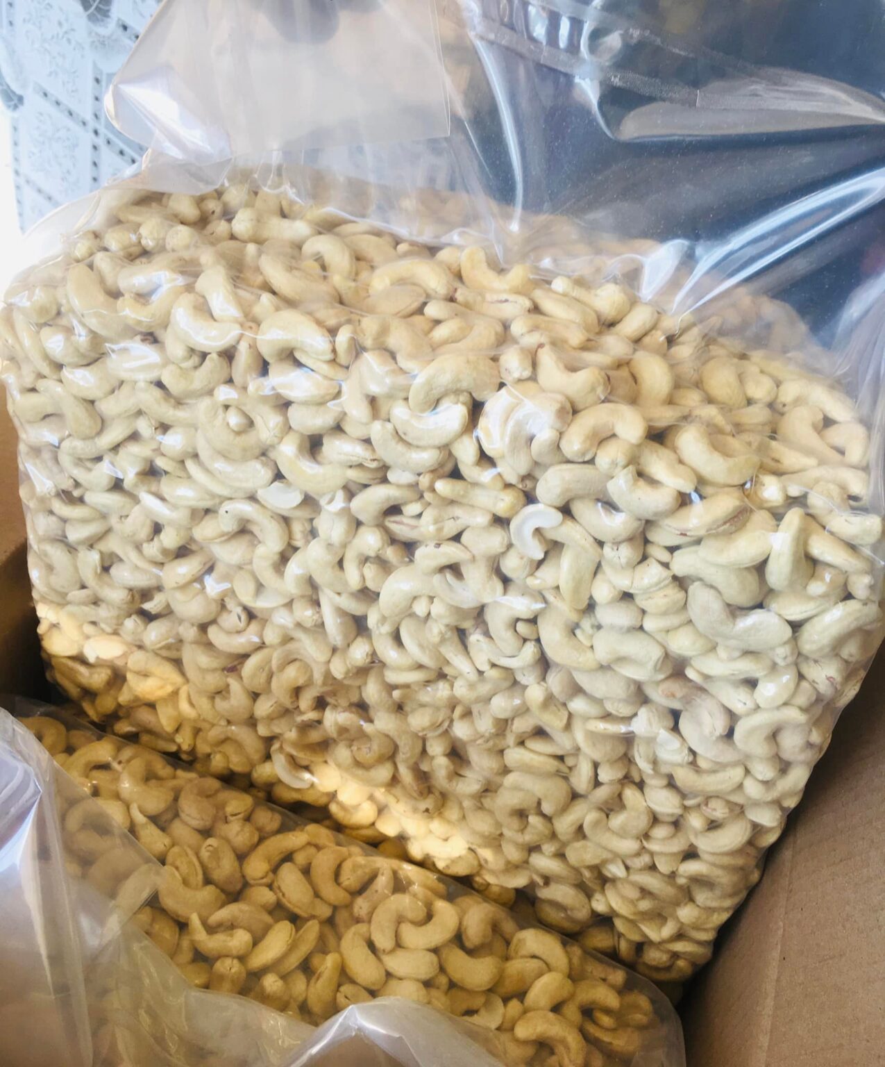 Cashew Nuts for Sale - Mauro Solfertile Agriverde Commodities